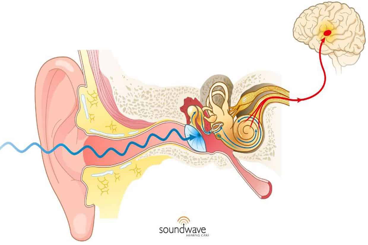 What is Sound? - North Tyneside Brass in Schools